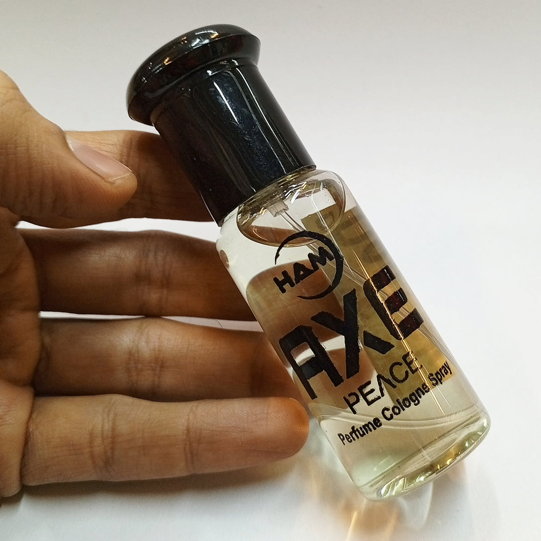 AXE POCKET PERFUME SPRAY | Daraz.pk