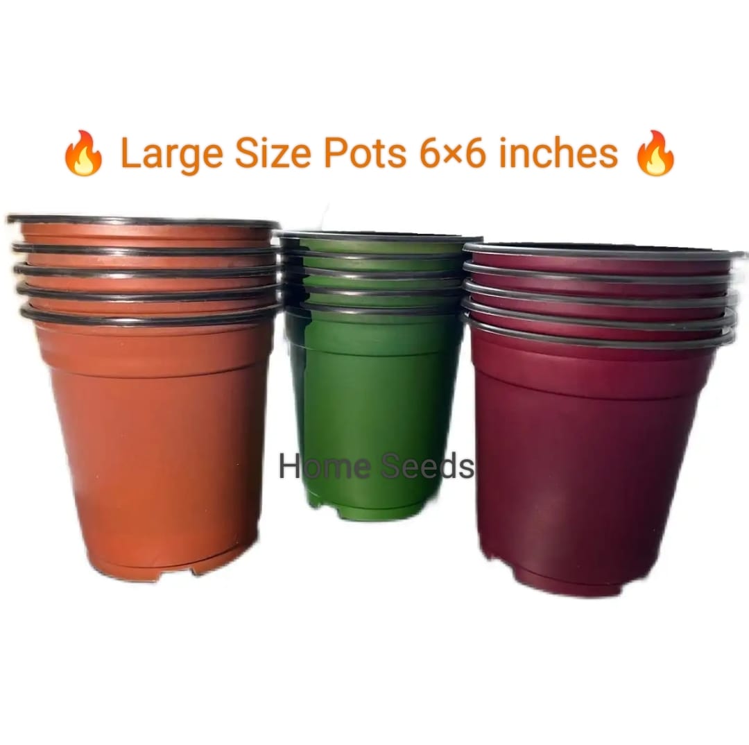 Pack of 6 large Flower Pots - Pots size 8×8inches - Pots For Seedling ...