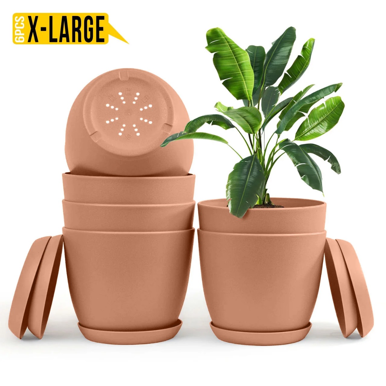 Enhance Your Space with Fast Forward Extra Large Plant Pots – Perfect ...