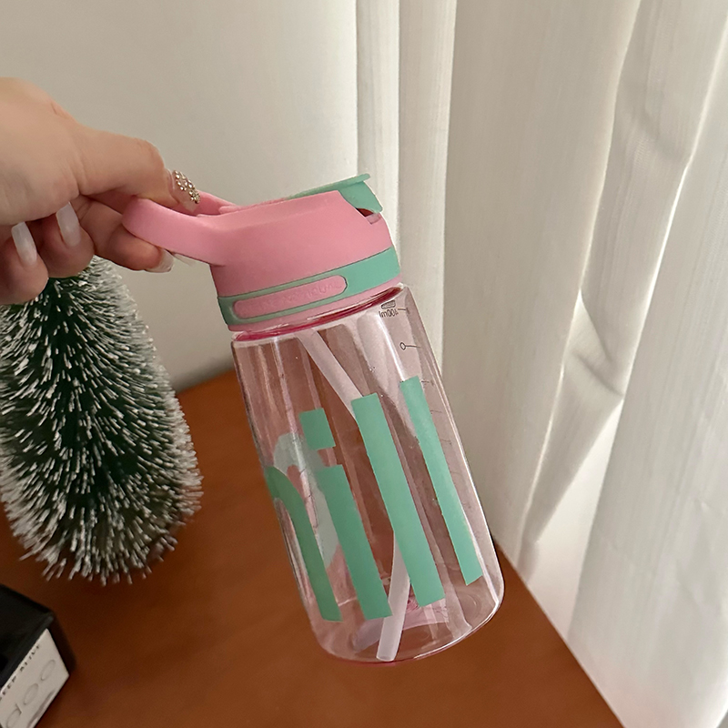Cute Korean Water Bottle With Straw Handle BPA Free 450/550ml Plastic Coffee Milk Tea Juice ...