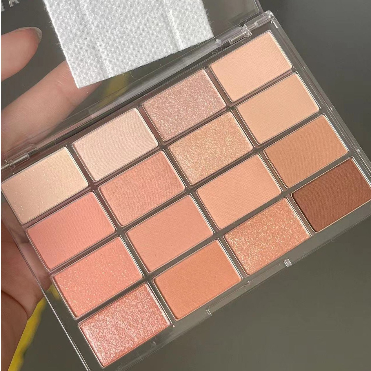 16 color eye shadow matte pearlescent fine flash low saturation earth ...