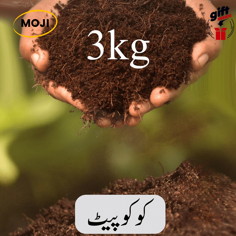 3kg Coco Peat ready to use for plants seedling - seed sowing - potting mix - Organic Water ...