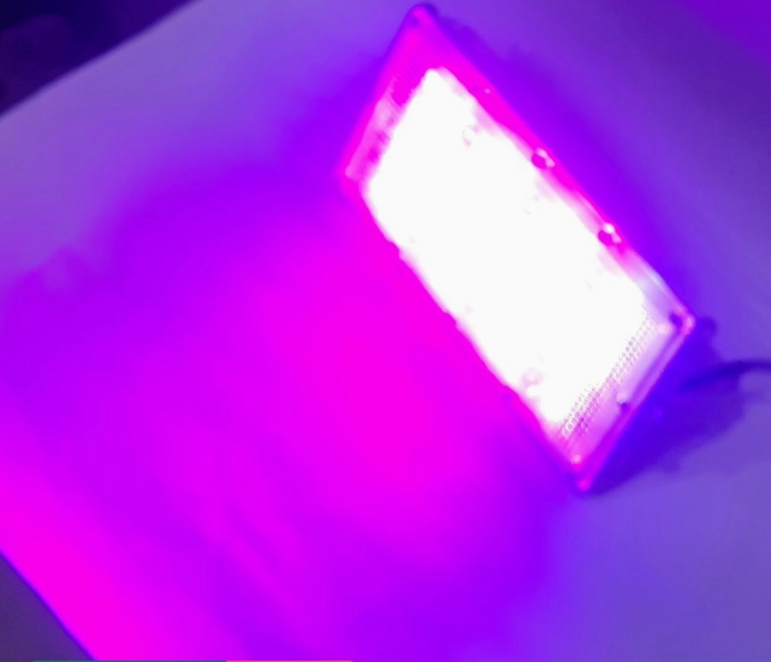 DD party Flood light Multy COLORS 4 IN 1 Waterproof DD Flood Party ...