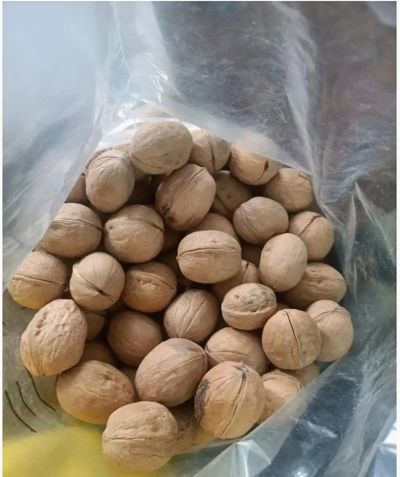 Walnut With Shell-1000 Gram (Sabat Akhrot) | Daraz.pk