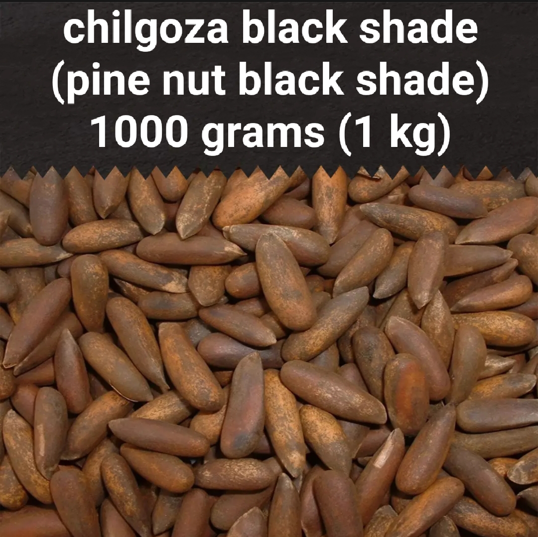Chilgoza (pine nut) - 1000 grams (1 kg) fresh stock | Daraz.pk