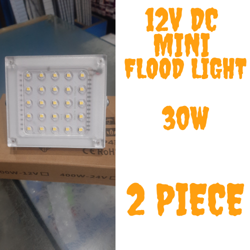 Mini Flood Light 12v DC 30W LED for Solar and Battery Operated only ...