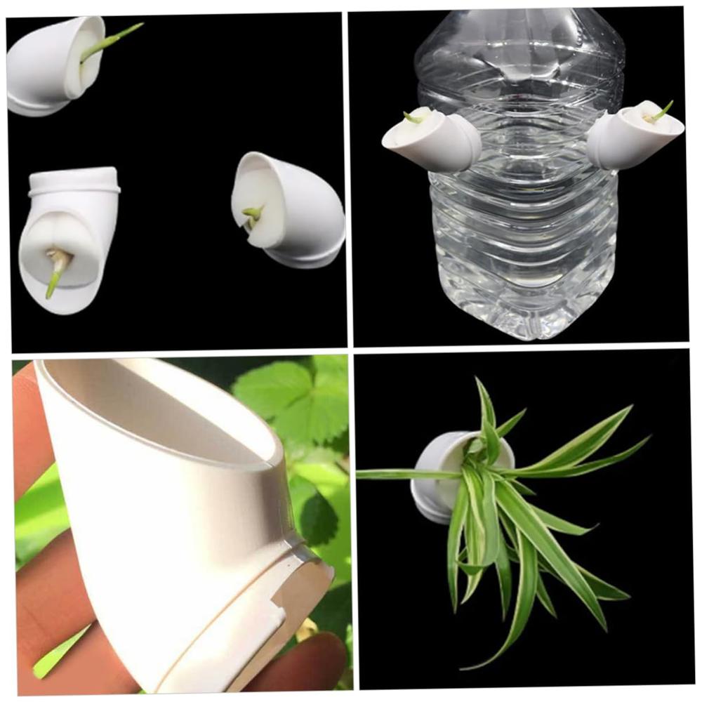 Weather-Resistant Cultivation Cups And Sponges Efficient Modular ...