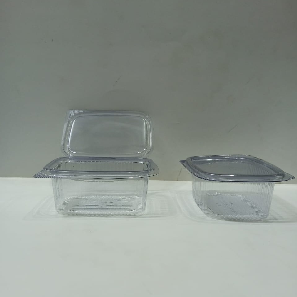 20 PCS | 150ML (5oz) | Plastic Disposable Transparent Boxes With Lid ...