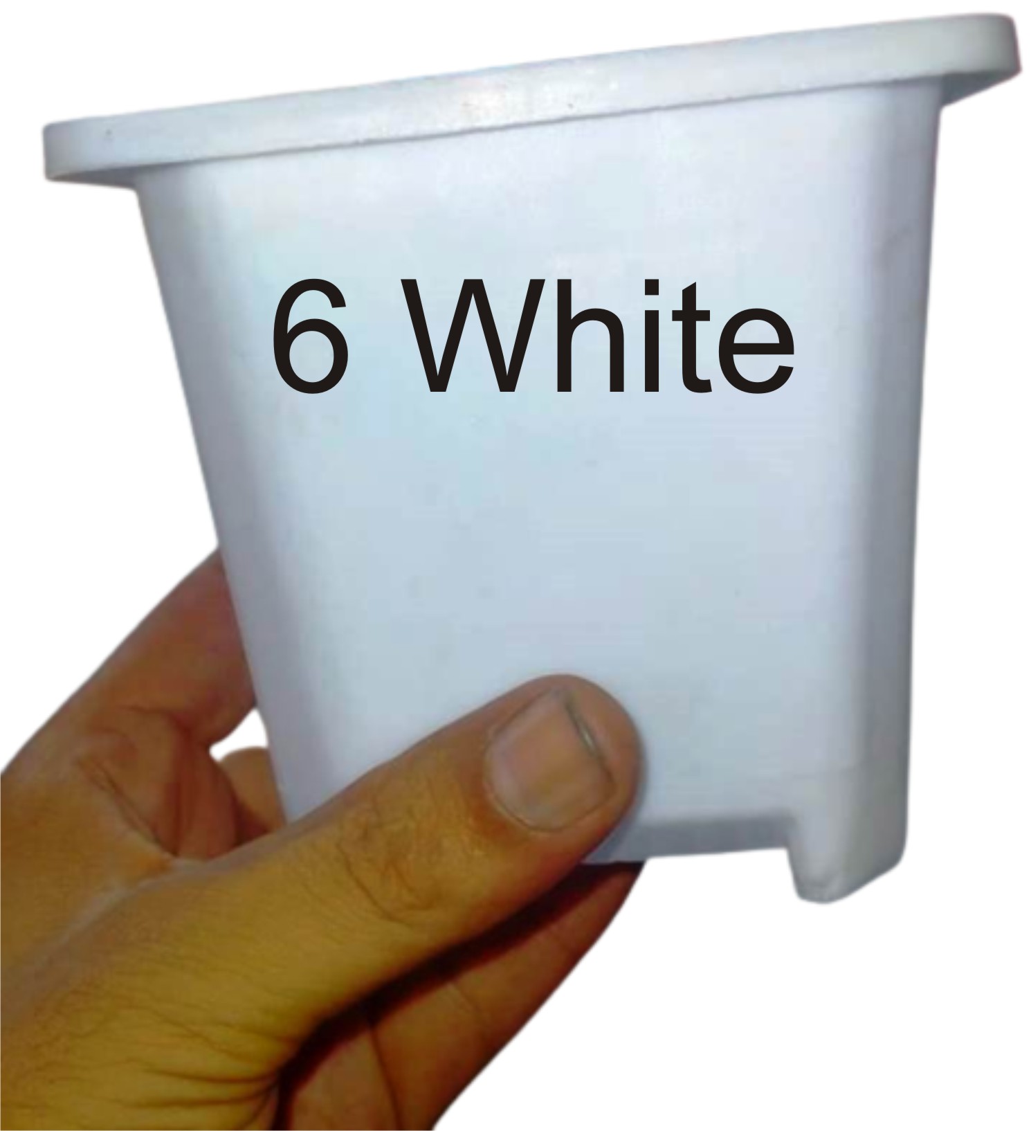 Unique Deep Roots Square Cactus Succulents and Small Indoor Plants Pots ...