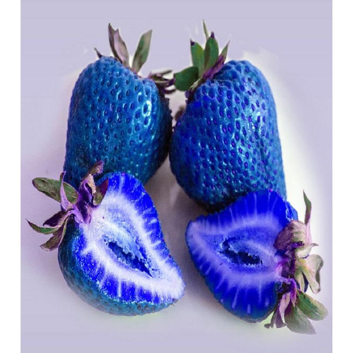 Blue Strawberry Seeds