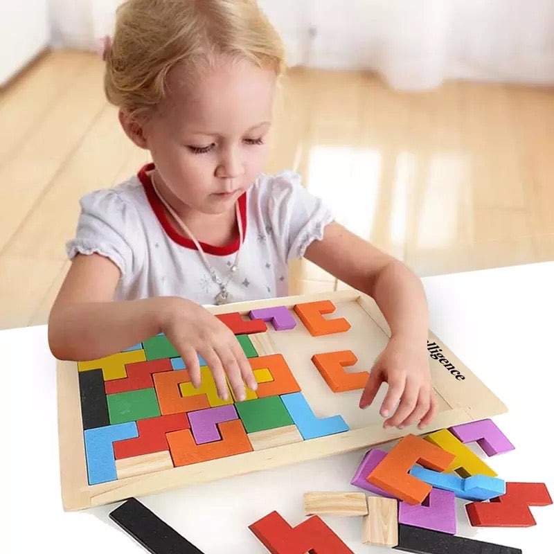 Wooden Intelligence Puzzle for kids | Daraz.pk