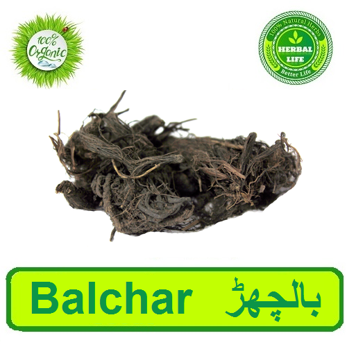 Balchar | 25 Grams | | Daraz.pk