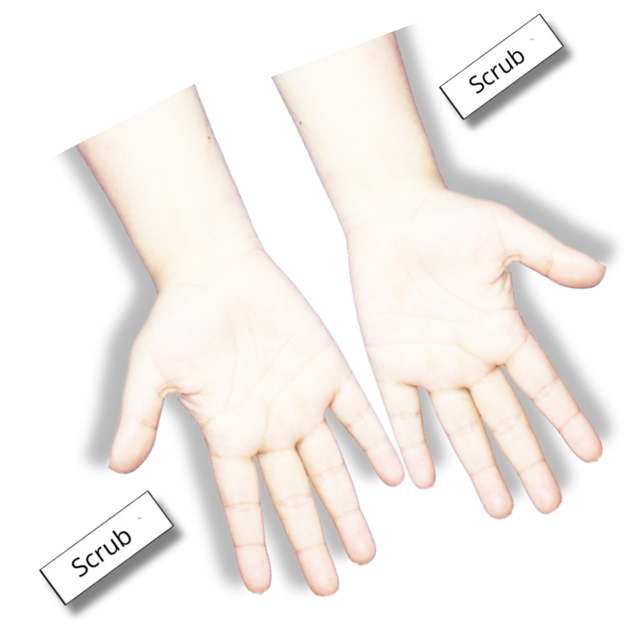 High Quality Reusable Mehndi Practice Hand For Henna Practice - 2 Short ...