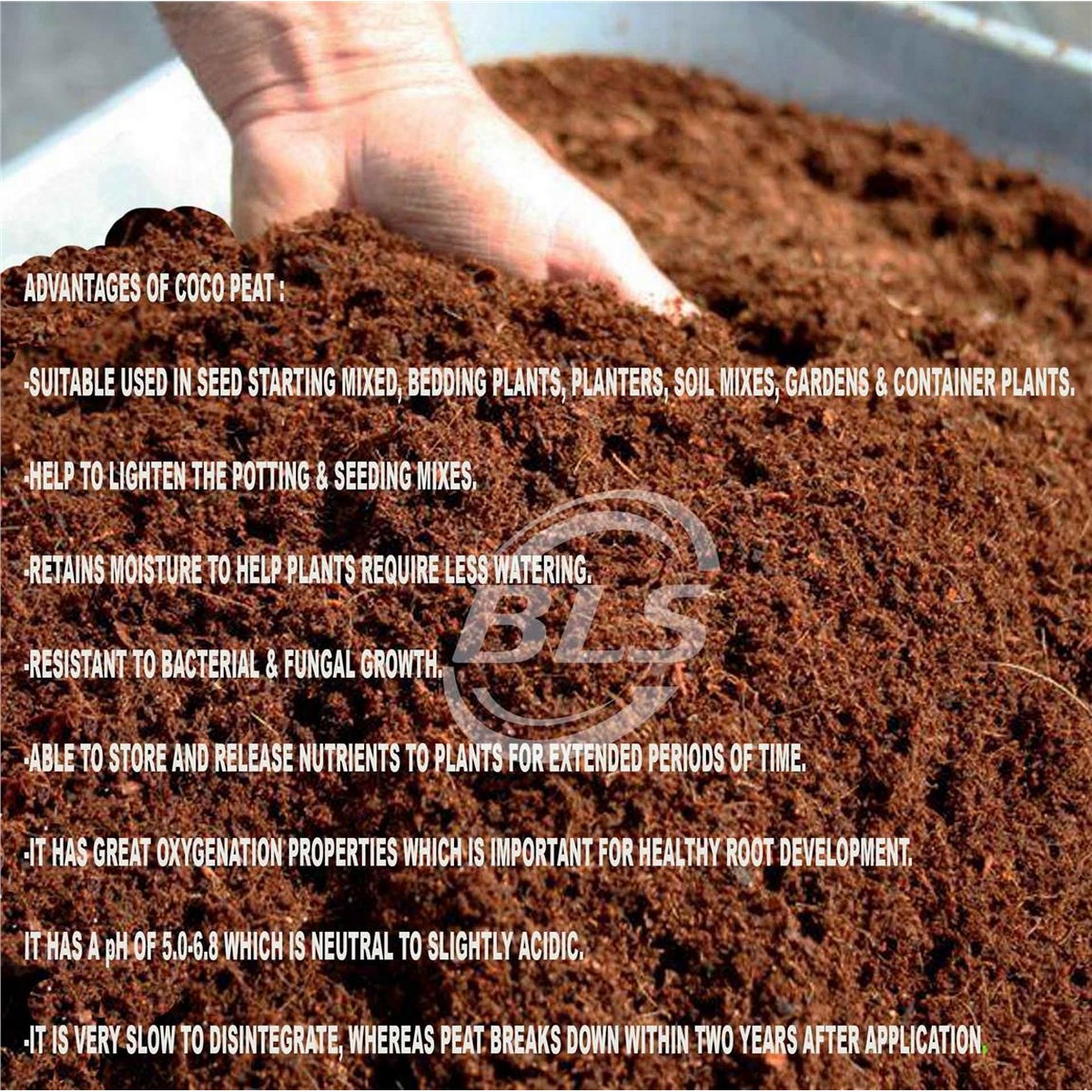 Coco Peat Block - 5 Kg - Organic Soil Substitute for Garden, Pots ...