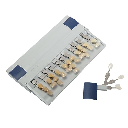 Dental Original VITA Tooth guide 3D Master& Bleached Shade Dental Guide ...