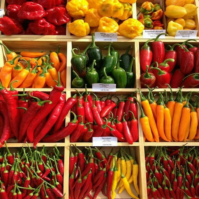 Mix Color Capsicum and Peper Vegetable Seeds | Daraz.pk