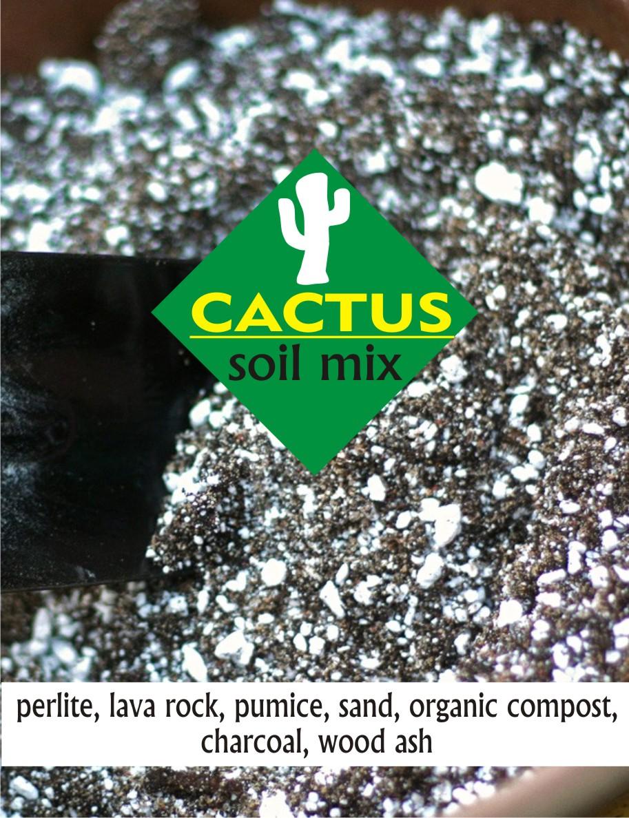 3 Kg - Professional Cactus Soil Mix Compost For Cactus Succulent | Daraz.pk