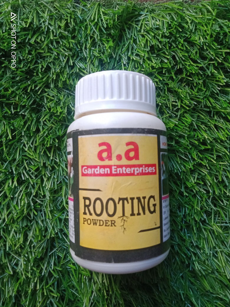 Rooting Hormone Powder For Plants Clone 30 Gram – Infinite Green