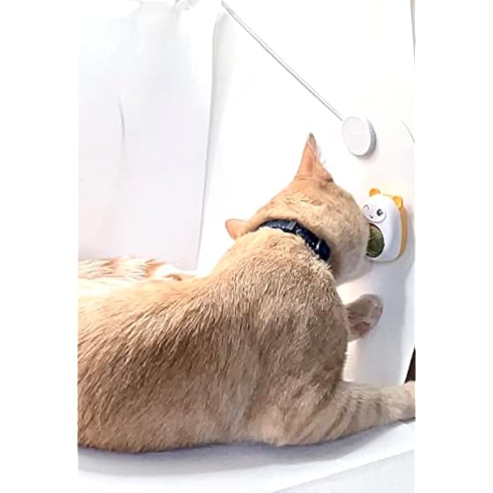 Cat Face Catnip Wall Mint Ball For Cat Interactive Toys Edible Lollipop ...