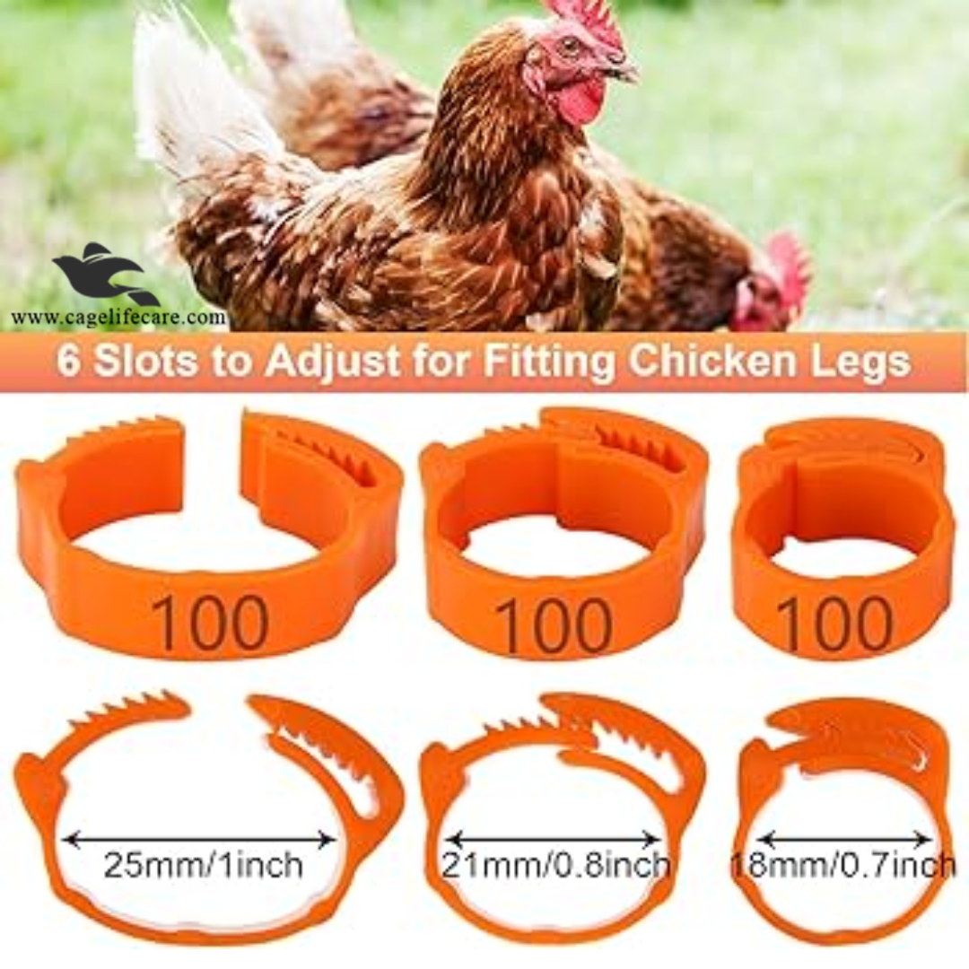 Adjustable Poultry Leg Bands – Clip-On Identification Rings for ...