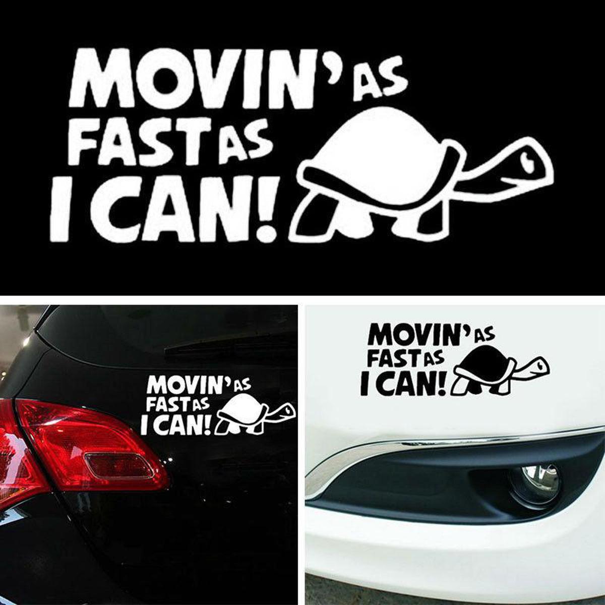 Turtle Car Stickers For Windows