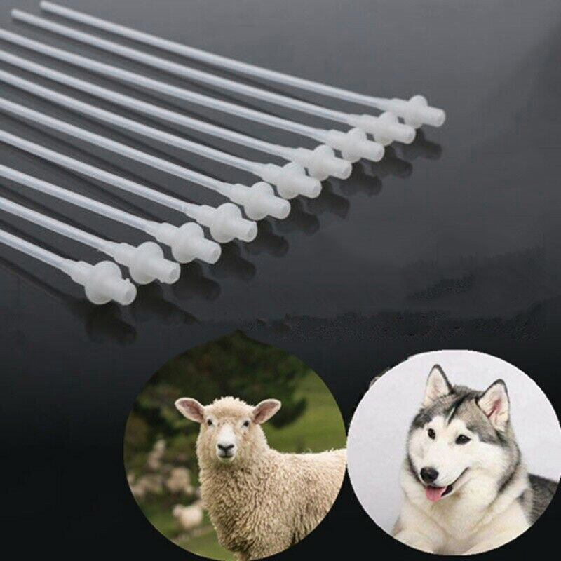 FLYEER 50PCS Artificial Insemination Rods Breeding Catheter Tube Dog ...