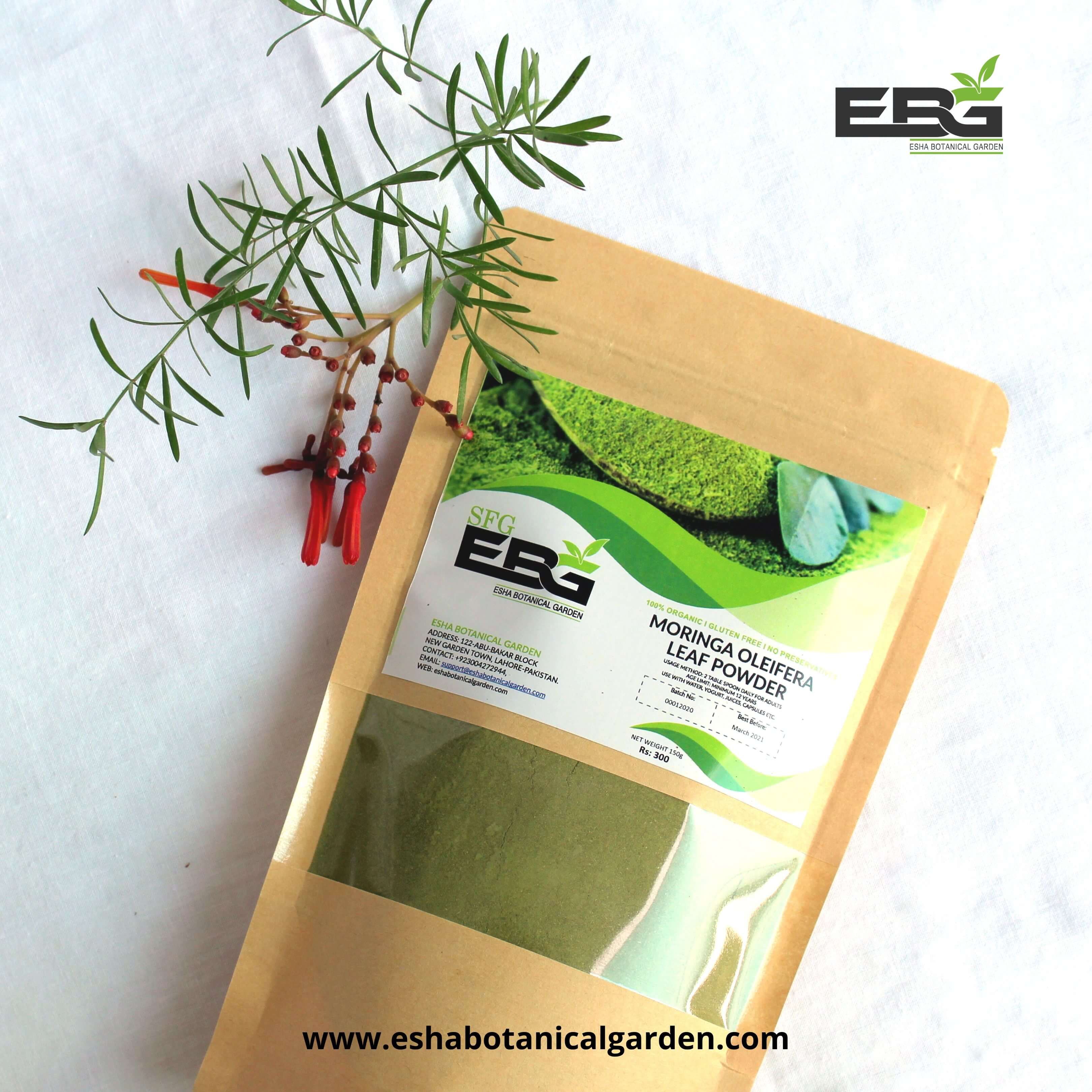 Moringa Oleifera (Suhanjna) Leaf Powder 100g | Daraz.pk