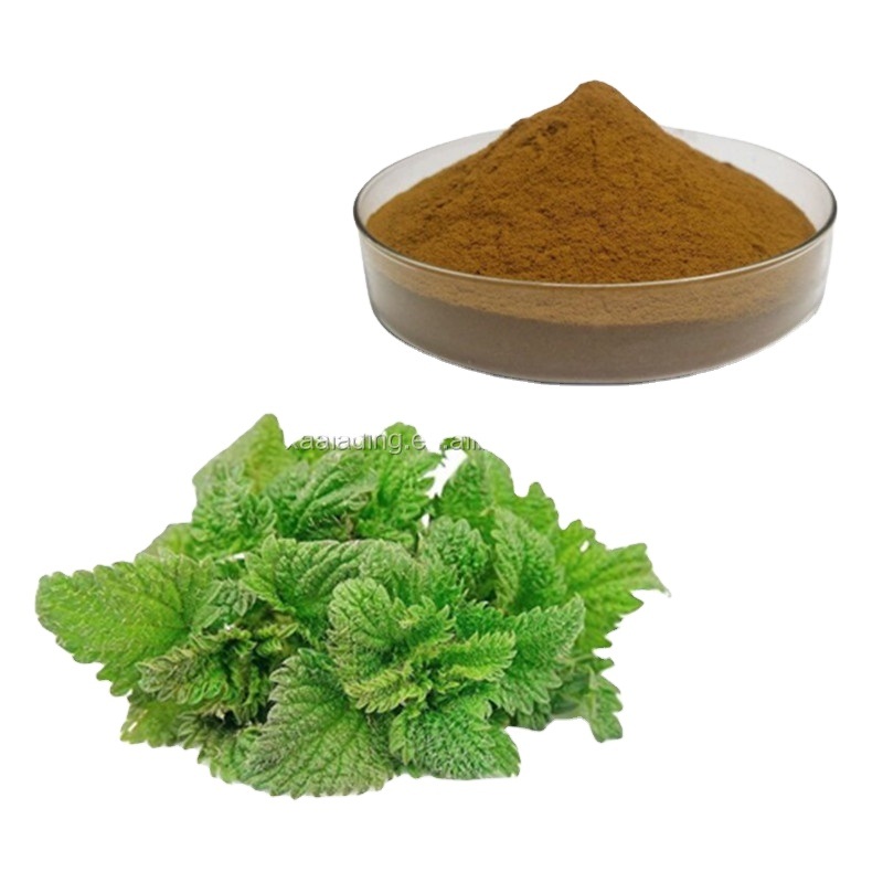 Nettle Leaf Powder 100gm | Daraz.pk