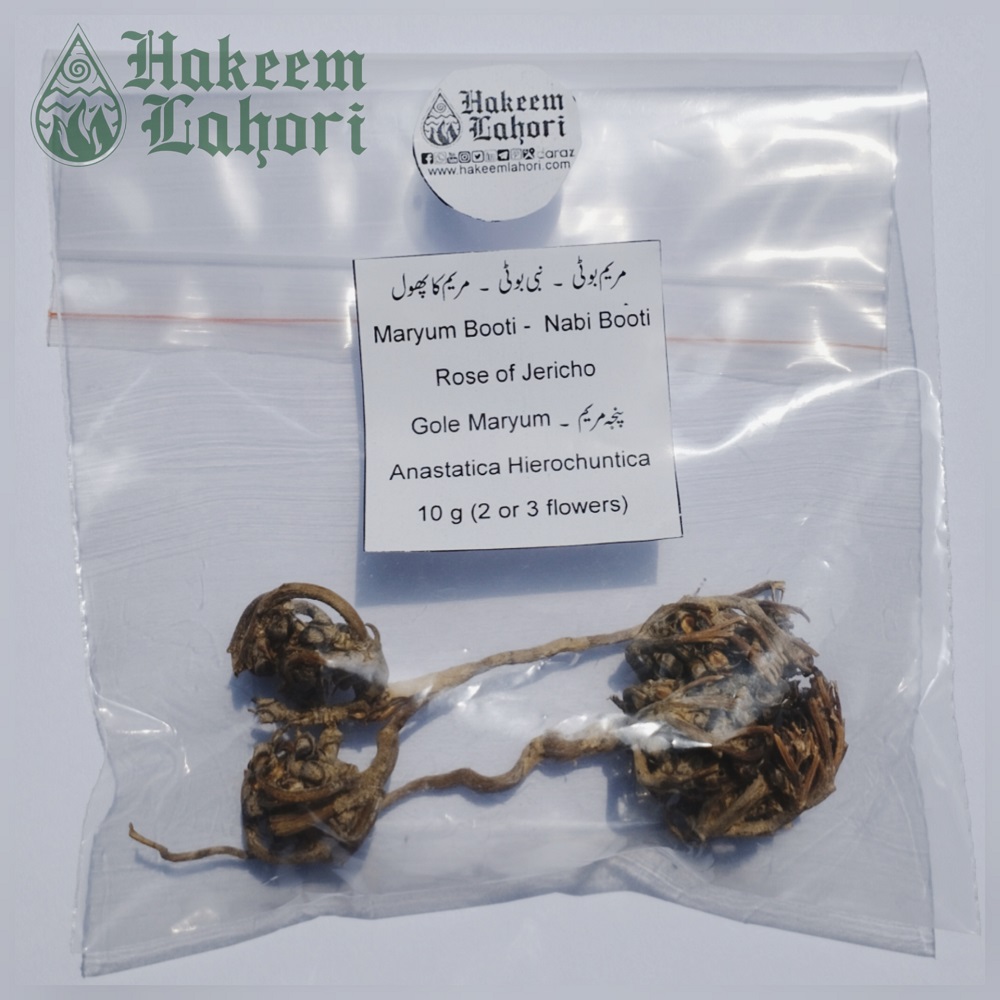 Maryum Booti مریم بوٹی Nabi Booti نبی بوٹی Rose of Jericho پنجہ مریم ...