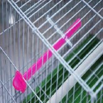 Birds Sitting Stick For Cage Pack Of 02 Price in Pakistan - View Latest ...