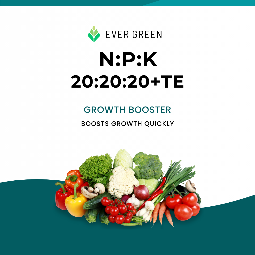 NPK 20 20 20 + TE fertilizer for plants | Daraz.pk