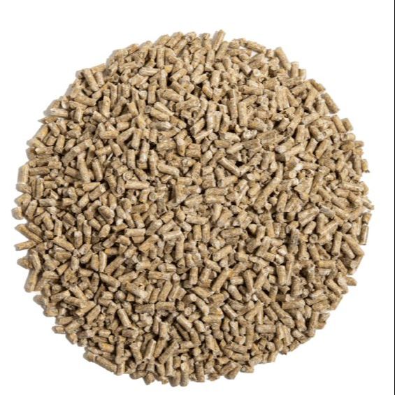 Poultry feed sindhi| hens feed 13 no birds murghi ( hens) ki feed ...
