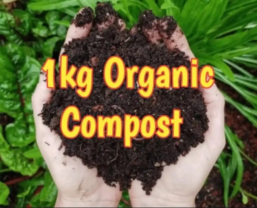 khad Cow Dung Organic Compost 1kg 3kg 5kg | Daraz.pk