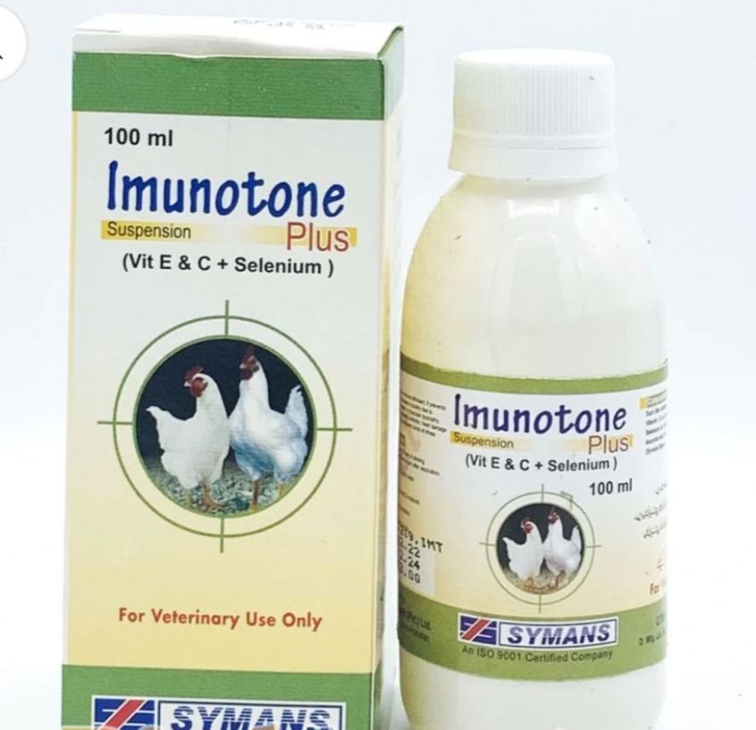 Imunotone Plus - Effective Immune Stimulant (Vit E&C + Selenium) for ...