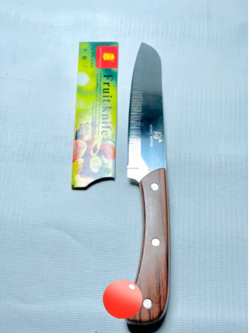 Stainless Steel 8.5 Inch Imported Kitchen Knife Sharp Fruit Knife with ...