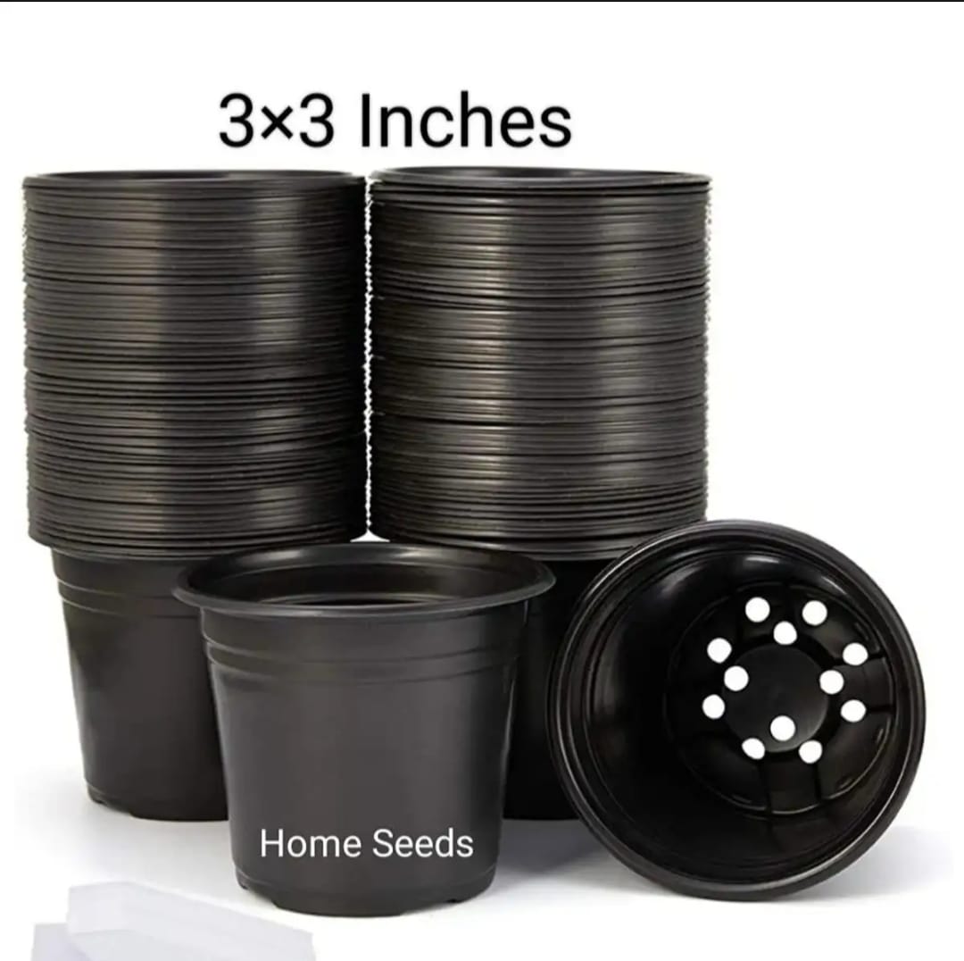 Pack of 50 plastic flowering pots small 3×3 Inches - Pots for seedling ...