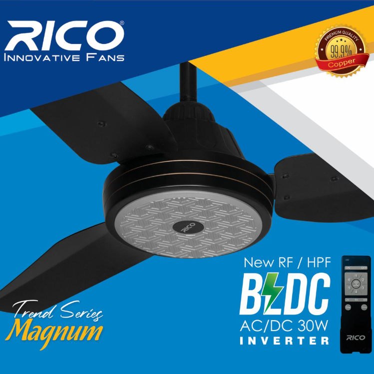 Rico Innovative AC / DC Inverter 30-Watt - Magnum Model 56" - 100% ...