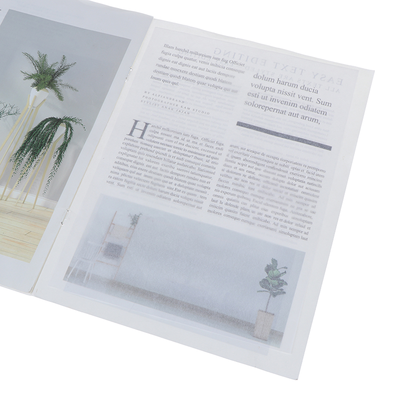 CecyliaXion 100 pcs A4 Vellum Paper Acetate Paper Pack Design Handmade ...