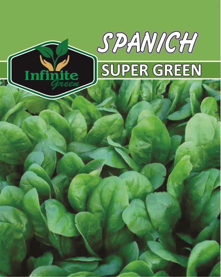 spinach super Green winter seeds 300 Plus seeds 8 Gram seeds | Daraz.pk