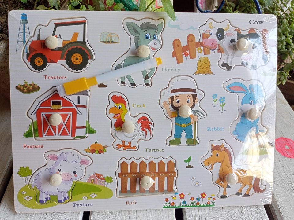 Double Sided 2in1 Wooden Peg Puzzles for Toddlers with Marker | Daraz.pk