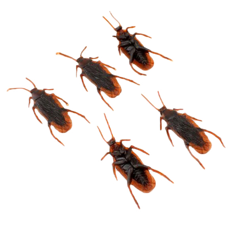 10Pcs/Pake Rubber Cockroach Funny Toy Special Lifelike Model | Daraz.pk