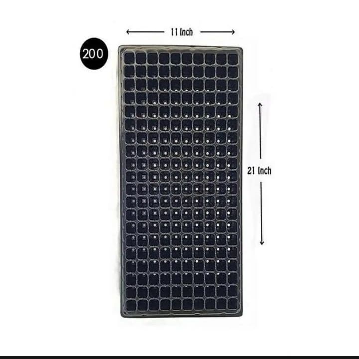 Seedling Tray 200 Holes for seeds Germination | Daraz.pk