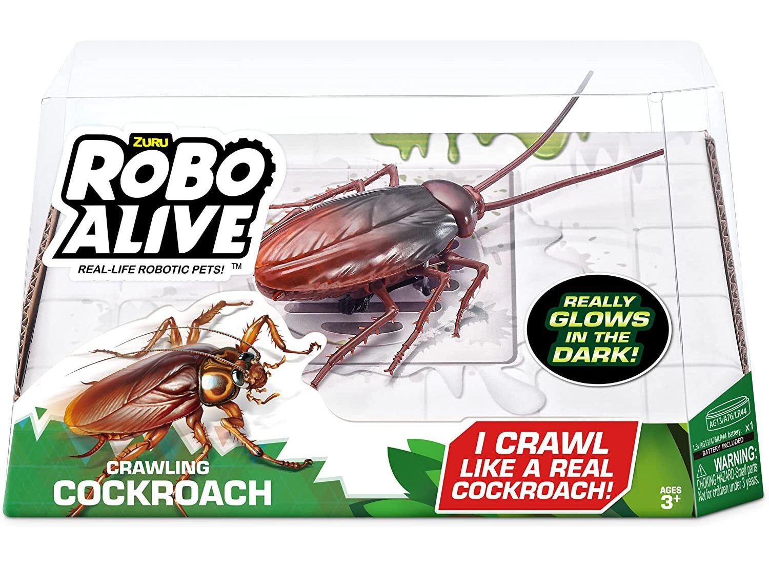 Robo Alive Crawling Cockroach | Daraz.pk