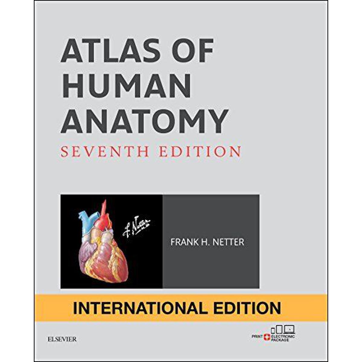 netters atlas anatomy - Frank H Netters anatomy | Daraz.pk