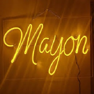 Qabool Hai Neon Light/ Happy Birthday Neon Light/ Happy Anniversary ...