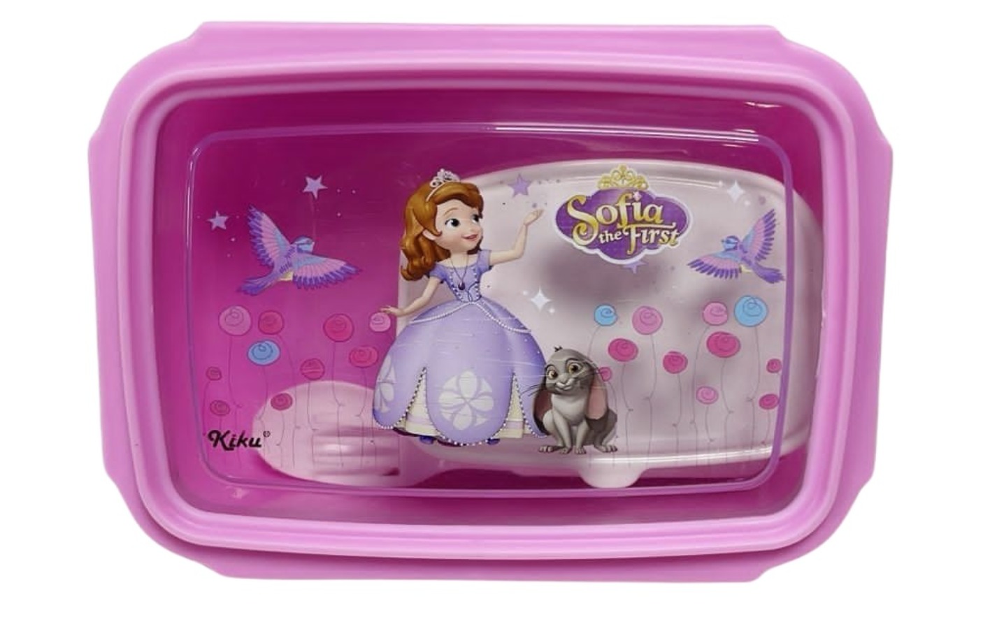 Durable Eco-Smart BPA Free Plastic Lunch Box With Rubber Seal Sofia ...