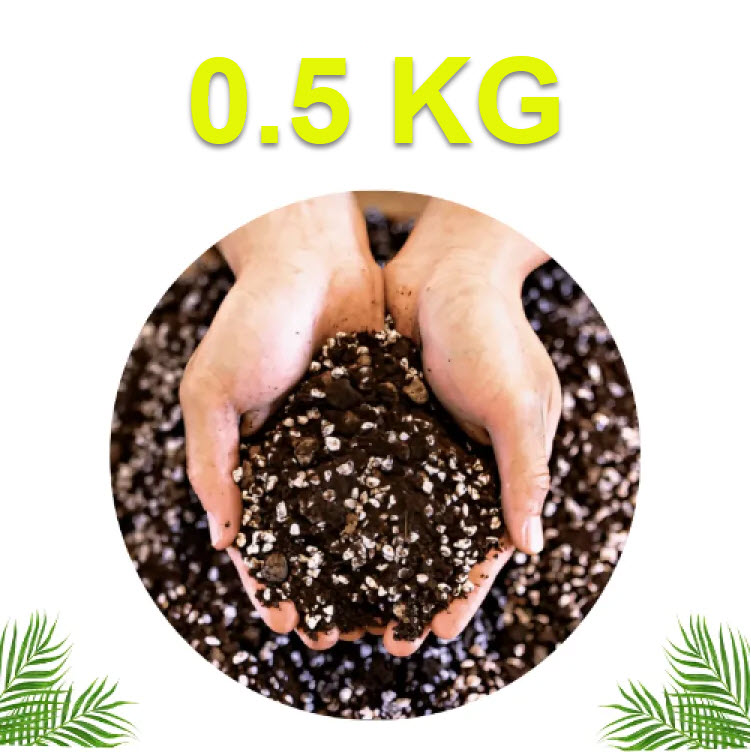 Organic Soilless Seed Starter Mix - Mixture of Vermicompost Coco Peat ...