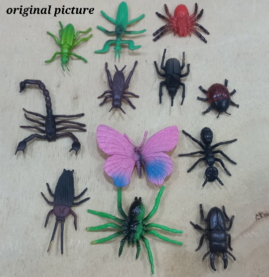 Insect Animal toy 12 pcs use in school project | Daraz.pk