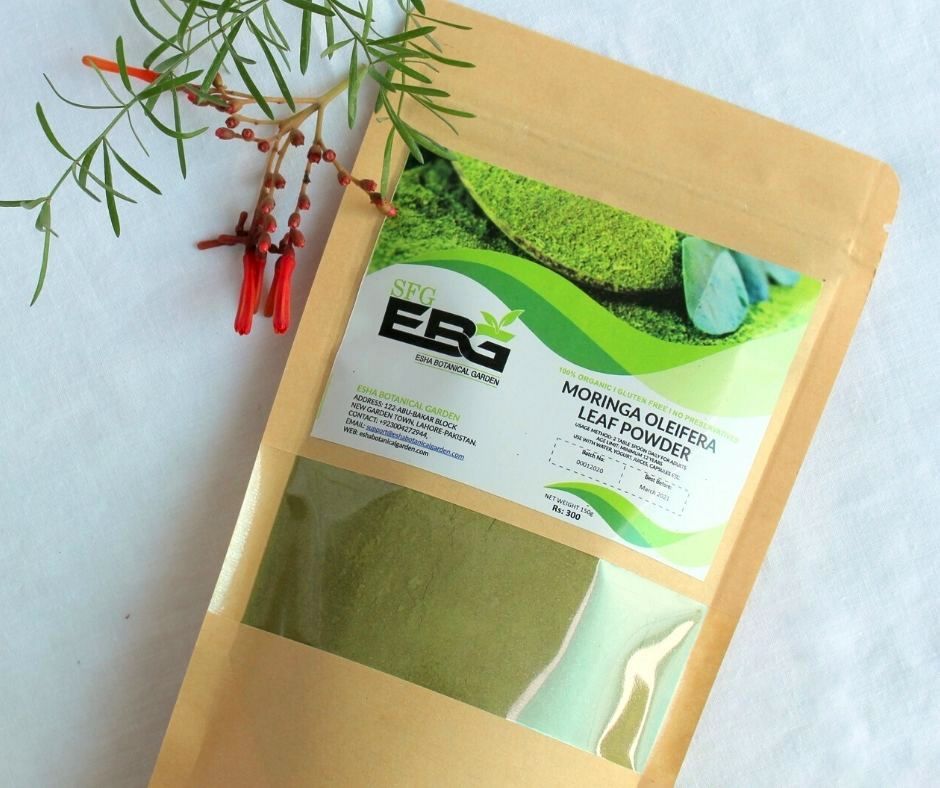 Moringa Oleifera Leaf Powder - A Super Food (Suhanjna k patton ka ...