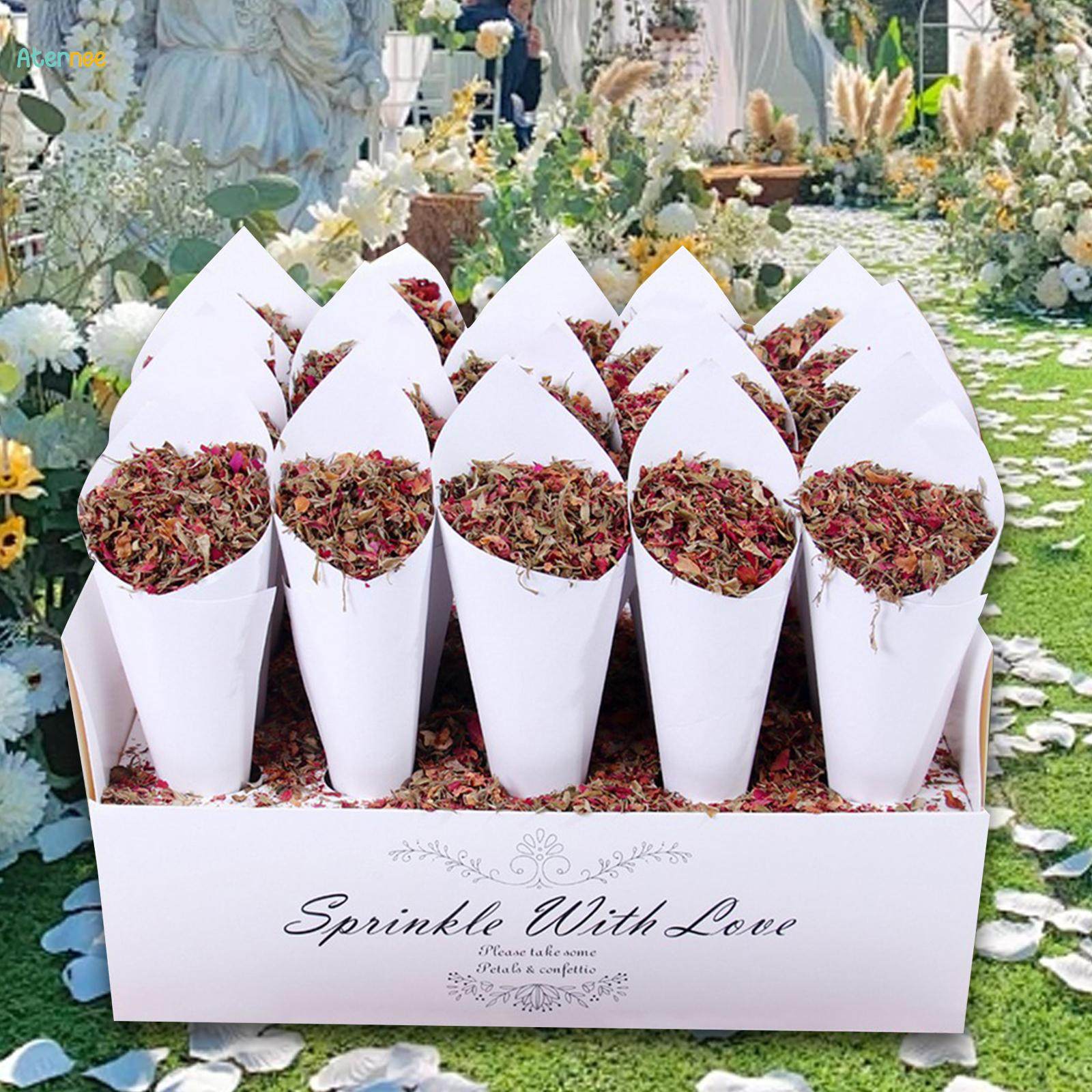 Confetti Cones and Paper Cones for Graduation Anniversary Wedding ...